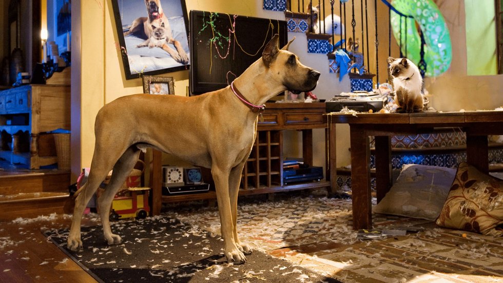 მარმადუკი ქართულად | Marmaduke qartulad - MyKadri.Tv