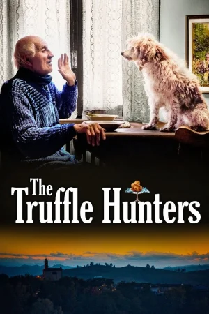ტრუფელებზე მონადირეები - ქართულად | The Truffle Hunters - Qartulad ...